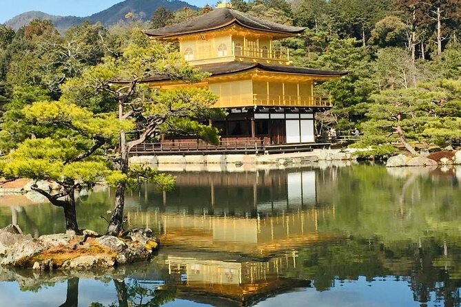 KYOTO and NARA Private Guided Tour With FREE ENTRANCE FEE - Key Points