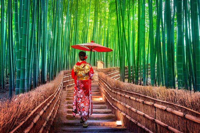 Kyoto and Nara Private Trip - Exploring the Arashiyama Bamboo Forest