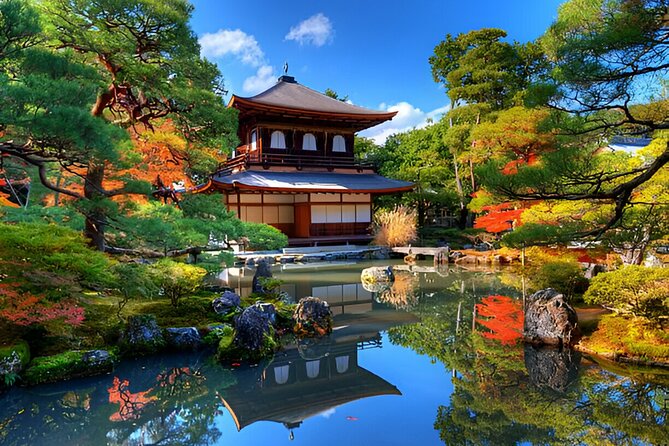Kyoto and Nara Private Trip - Traveler Reviews and Host Responsiveness