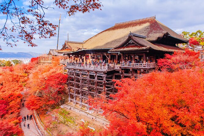 Kyoto and Nara UNESCO Highlights Full-day Tour From Osaka - Reflection on the Kyoto and Nara UNESCO Highlights Tour