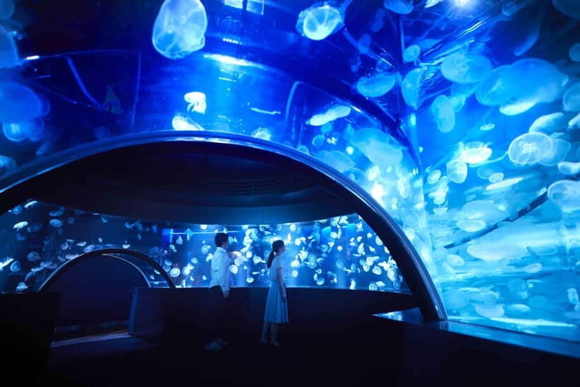 Kyoto Aquarium Admission Ticket - Practical Tips for Visiting