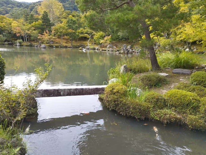 Kyoto: Arashiyama Bamboo Forest and Nijo Castle Private Tour - Key Points