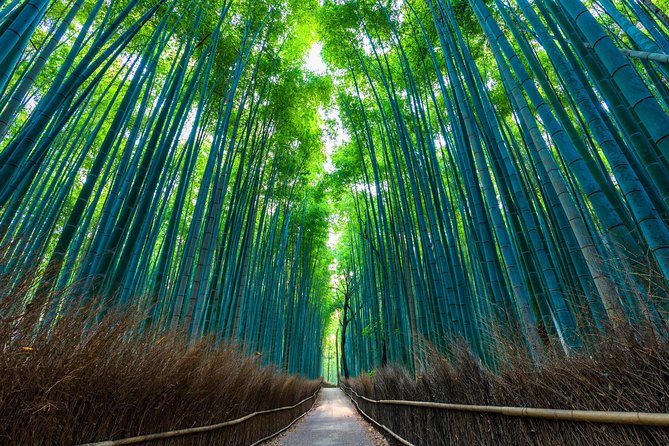 Kyoto Arashiyama Bamboo Forest & Garden Half-Day Walking Tour - Meeting and End Points