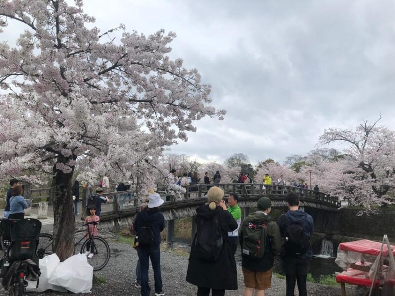 Kyoto Arashiyama Bamboo Forest & Golden Pavilion Bike Tour - Key Points