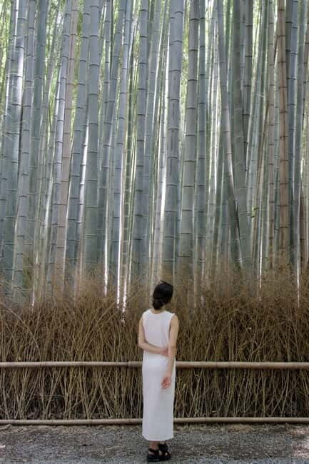 Kyoto: Arashiyama Bamboo Forest Tour with Wagashi Class - Authentic Experiences and Hidden Gems
