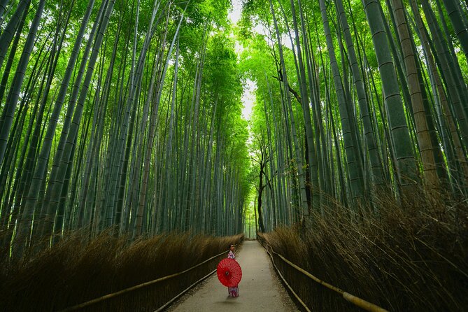 Kyoto: Arashiyama Bamboo, Temple, Matcha, Monkeys & Secret Spots - Exploring the Okochi Sanso Gardens