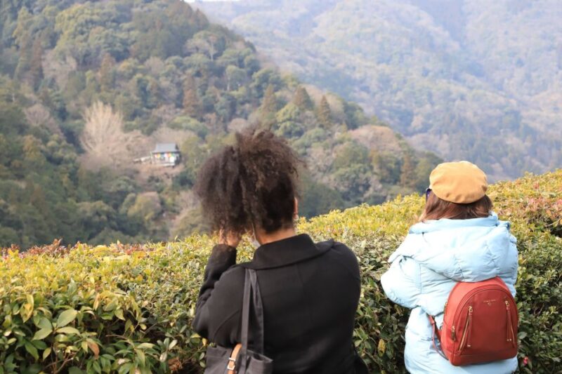 Kyoto Arashiyama Best Spots 4h Private Tour - Itinerary and Destinations