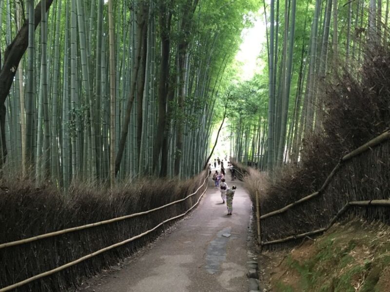Kyoto Arashiyama Best Spots 4h Private Tour - Customer Reviews and Ratings