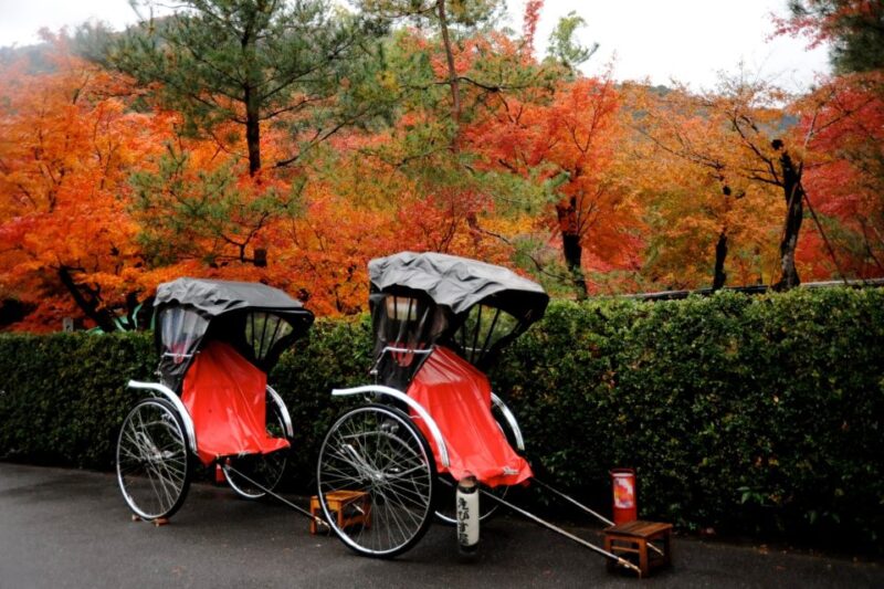 Kyoto: Arashiyama Customized Rickshaw Tour & Bamboo Forest - Exploring Arashiyamas Bamboo Forest