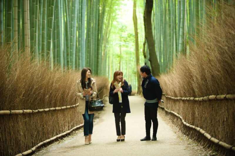 Kyoto: Arashiyama Customized Rickshaw Tour & Bamboo Forest - Customizing Your Rickshaw Tour