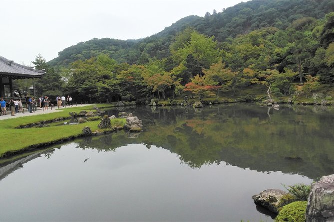 Kyoto Arashiyama & Golden Pavilion One-Day Walking Tour - Bamboo Forest