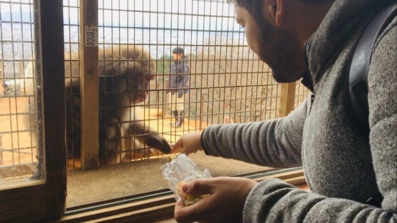 Kyoto: Arashiyama Monkey Park, Bamboo Forest, and Temples - Saga-Arashiyama Station