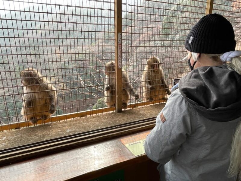 Kyoto: Arashiyama Private Tour, Bamboo, Monkey, Zen Temple - Tenryu-ji Temple Visit
