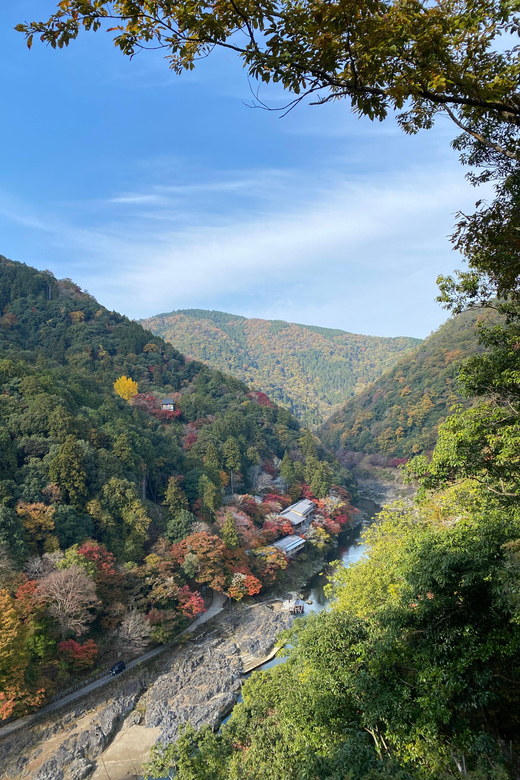 Kyoto: Arashiyama Private Tour, Bamboo, Monkey, Zen Temple - Togetsu-kyō Bridge Photo Stop