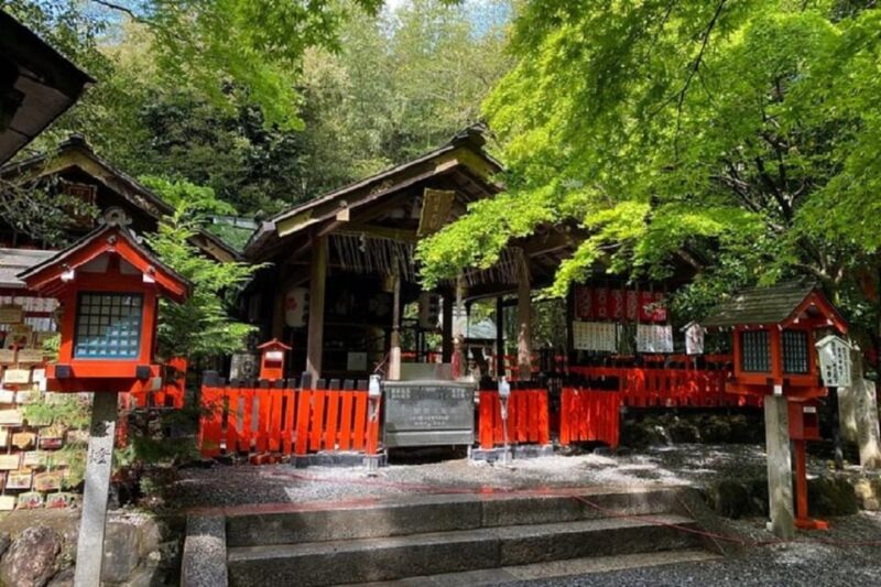 Kyoto: Arashiyama Private Tour, Bamboo, Monkey, Zen Temple - Tour Logistics and Practical Considerations