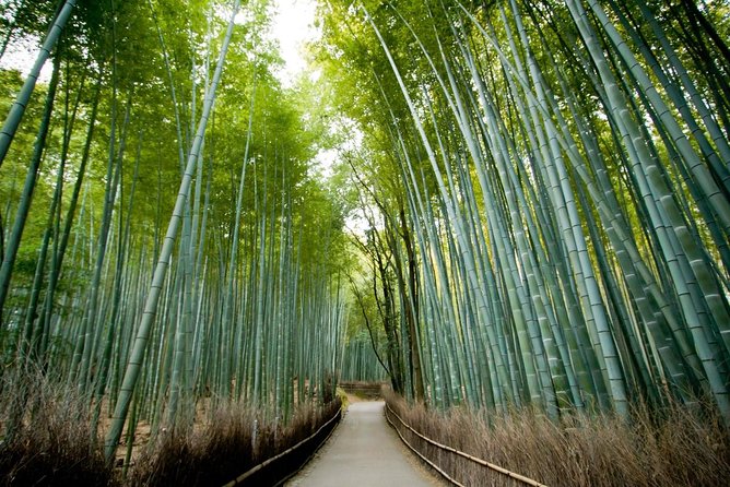 Kyoto Arashiyama Rickshaw Tour With Bamboo Forest - Meeting and Pickup
