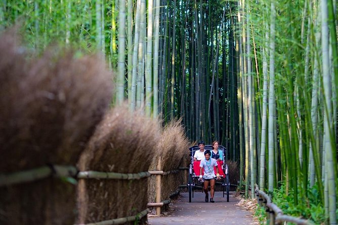 Kyoto Arashiyama Rickshaw Tour With Bamboo Forest - Visiting the Nonomiya Shrine