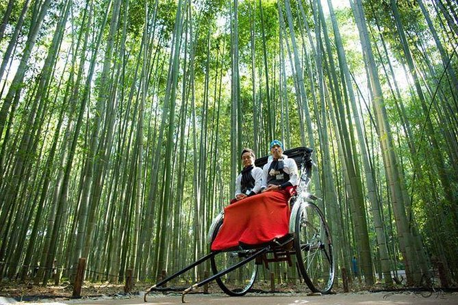 Kyoto Arashiyama Rickshaw Tour With Bamboo Forest - Photo Opportunities in the Park