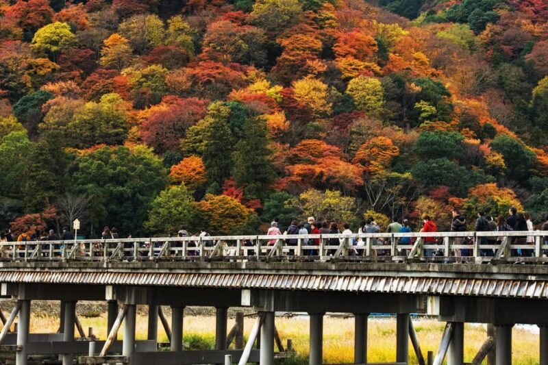 Kyoto: Arashiyama Tour With Optional Sagano Romantic Train - Itinerary Highlights