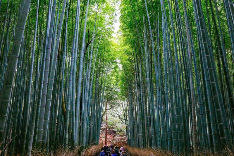 Kyoto: Arashiyama Tour With Optional Sagano Romantic Train - Tour Attractions