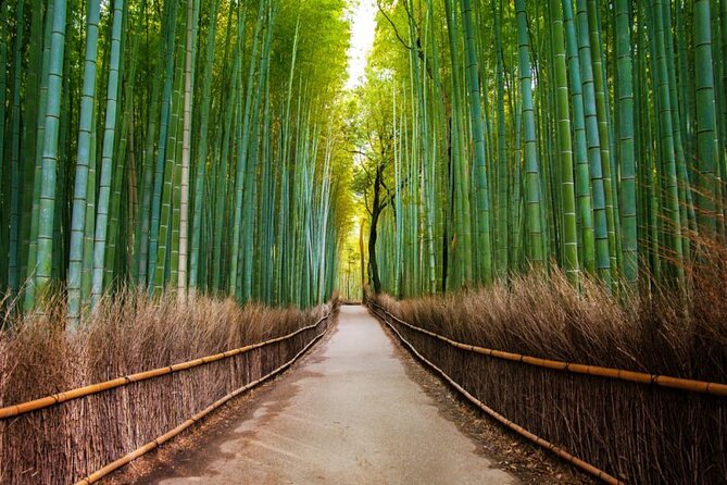 Kyoto Arashiyama Walking Tour - Bamboo, Monkeys, Temple & Secrets - Positive Feedback From Customers