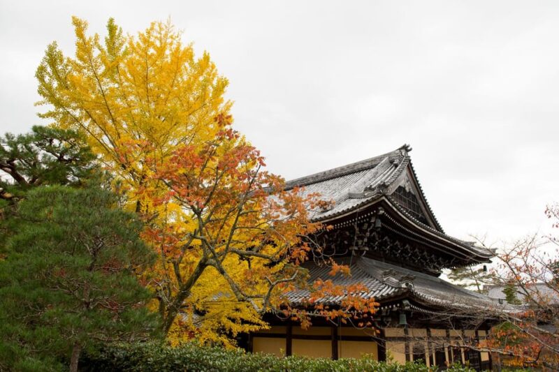 Kyoto: Authentic Biking Half Day Experience - Key Points