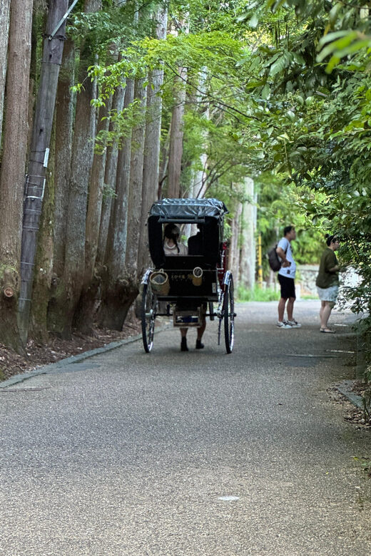 Kyoto: Avoid the Crowds at the Hidden Gems of Arashiyama - Key Points