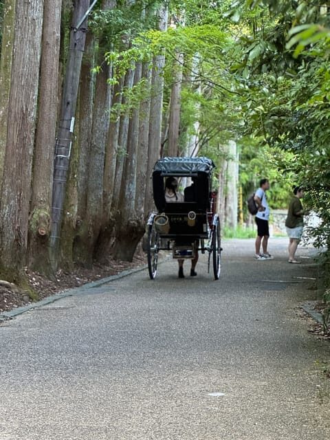 Kyoto: Avoid the Crowds at the Hidden Gems of Arashiyama - Discovering Hidden Temples and Art