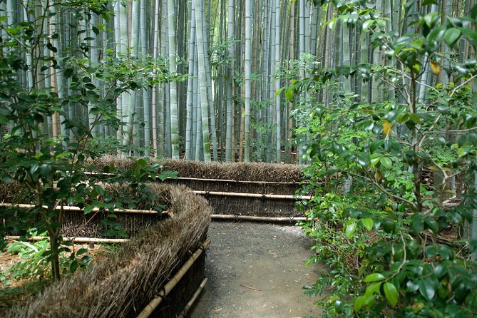 Kyoto Bamboo Forest Electric Bike Tour - Itinerary and Experience