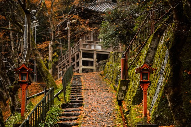 Kyoto Bamboo Forest Electric Bike Tour - Participant Requirements and Safety