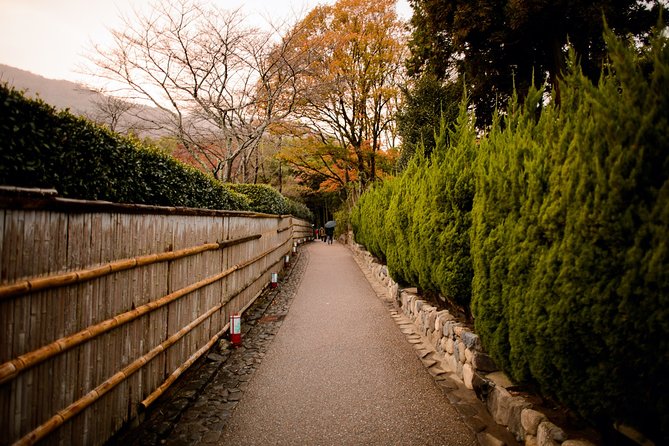 Kyoto Bamboo Forest Electric Bike Tour - Cancellation and Refund Policy