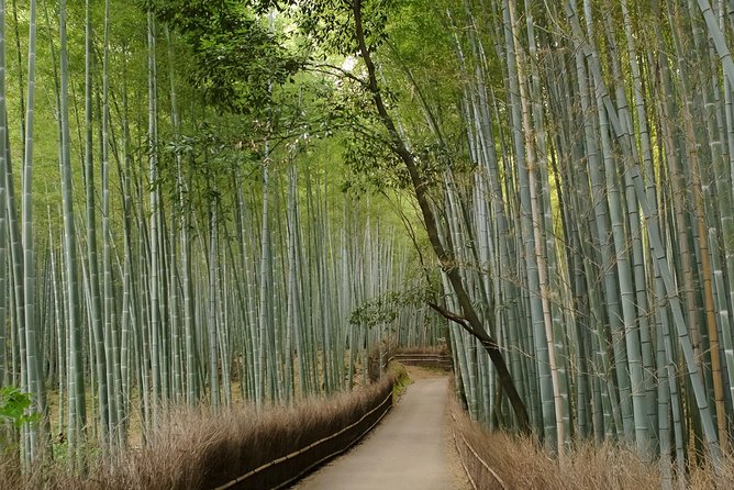 Kyoto Bamboo Forest Electric Bike Tour - Cycling Through Countryside and Urban Landscapes