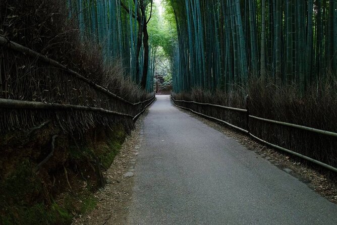Kyoto Bamboo Forest & Golden Pavilion Bike Tour - Biking Through Kyotos Neighborhoods