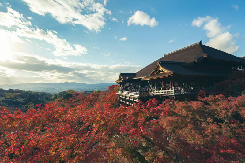 Kyoto Classic Day Trip: Peaceful Temples & Shrines & Gion - Exploring Kyotos Historic Sites