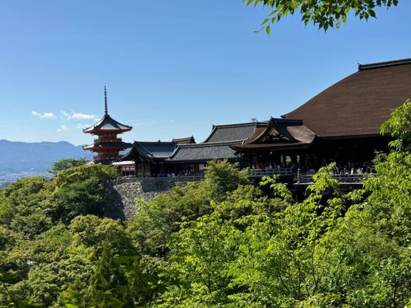 Kyoto Custom Private Car Tour With Local Guide - Itinerary Details