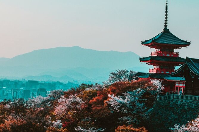 Kyoto Custom Private Walking Tour With a Guide (Private Tour) - Key Points