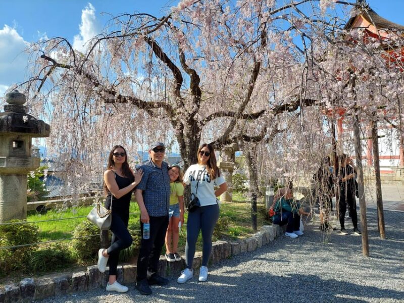 Kyoto Custom Private Walking Tour With Licensed Guide (4/8h) - Tour Highlights