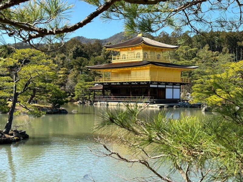 Kyoto Customise Private Tour With English-Speaking Driver - Experiences Offered