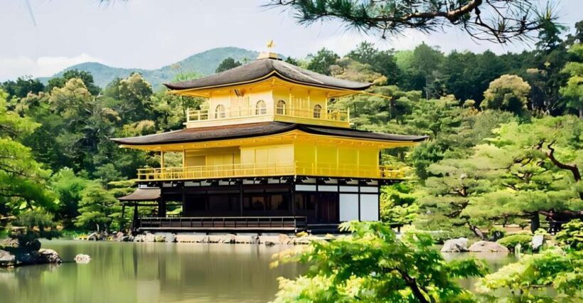 Kyoto: Customizable Full-Day Tour with Privarte Transfers - An In-Depth Look at the Kyoto Private Tour Experience