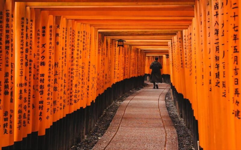 Kyoto: Customizable Private Tour With Hotel Transfers - Experience and Highlights