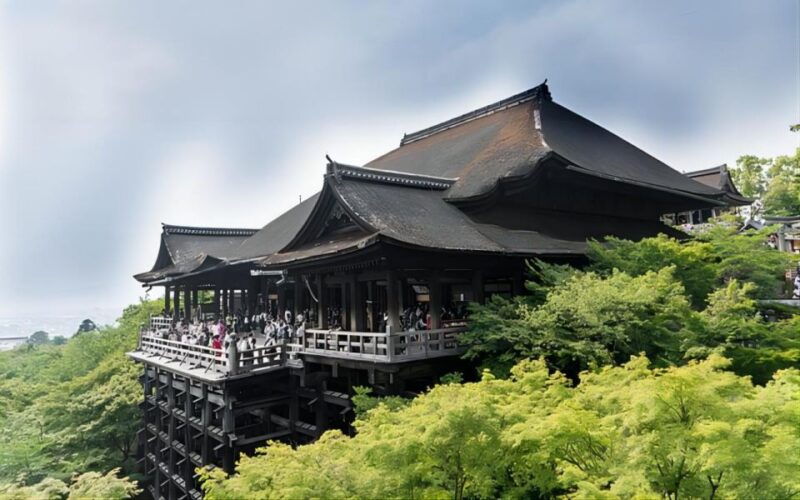 Kyoto: Customizable Private Tour With Hotel Transfers - Customer Feedback