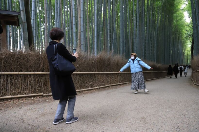 Kyoto Customized Private Tour: See Top Attractions in 1 Day - Who Should Consider This Tour?