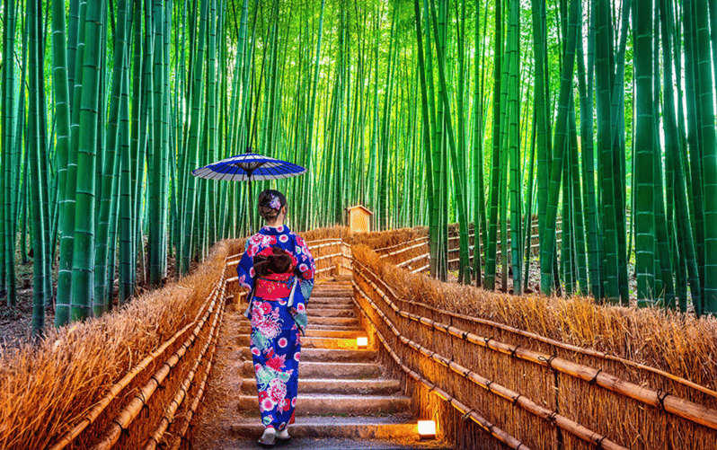 Kyoto Day Tour With Certified Tour Guide & Luxury Vehicle - Itinerary Highlights