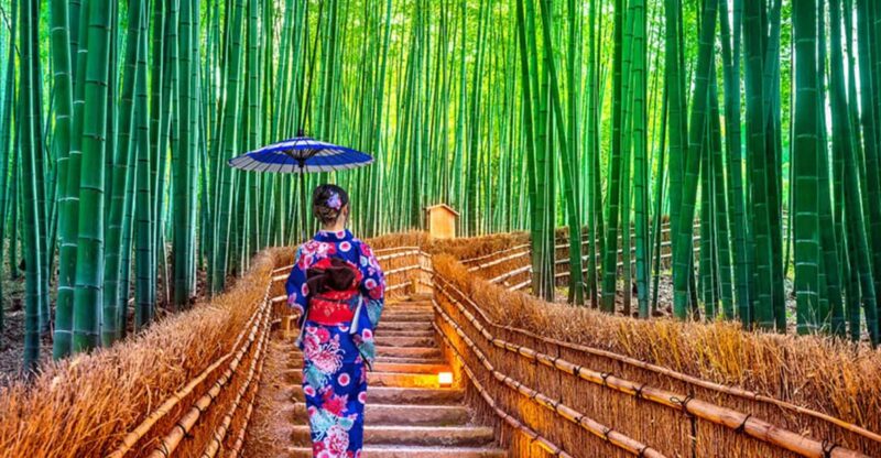 Kyoto Day Tour With Certified Tour Guide & Luxury Vehicle - Customization Options