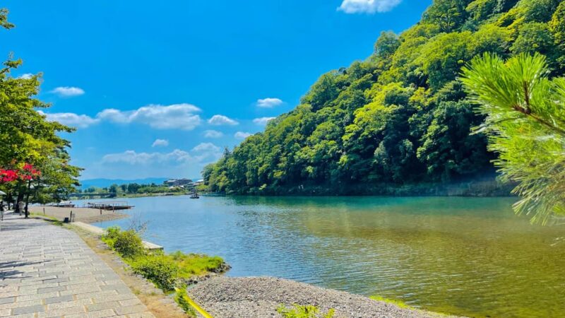 Kyoto Day Tour With Certified Tour Guide & Luxury Vehicle - Knowledgeable Guide