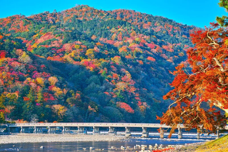 Kyoto Day Trip! Private Customizable Tour With Expert Guides - Customization and Flexibility