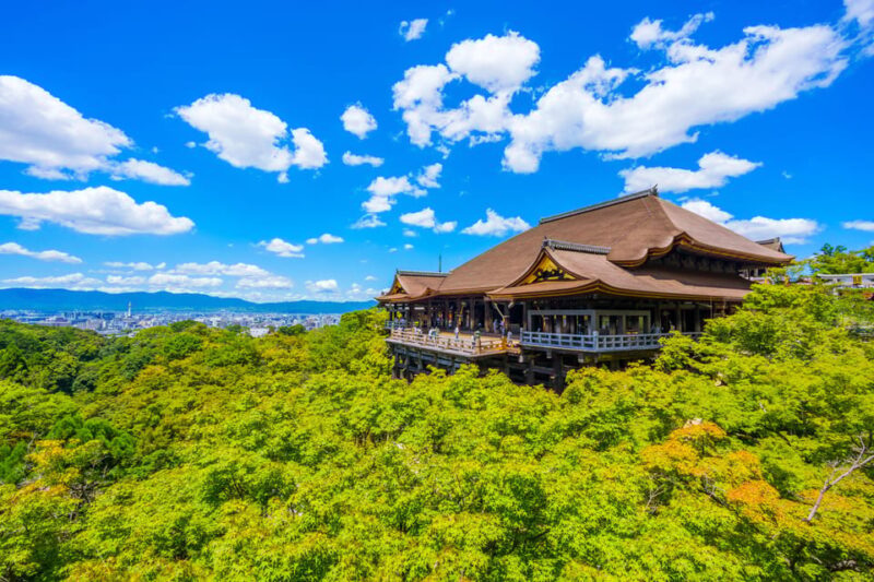 Kyoto Day Trip! Private Customizable Tour With Expert Guides - Important Information and Requirements