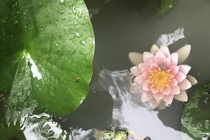 Kyoto: Descending Arashiyama (Private) - Exploring Otagi Nenbutsu-ji Temple