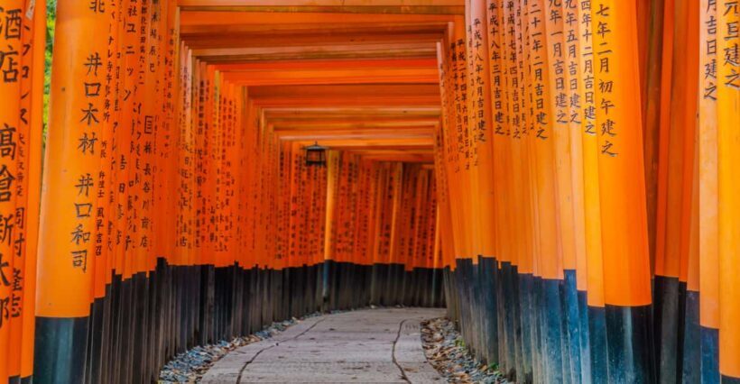 Kyoto: Discover Fushimi Inari, Kiyomizudera, and Yasaka Pagoda. - Introduction: What You Can Expect