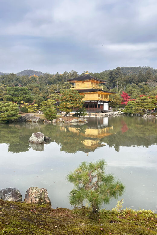Kyoto: Discover Fushimi Inari, Kiyomizudera, and Yasaka Pagoda. - Authentic Experiences and Real Traveler Feedback